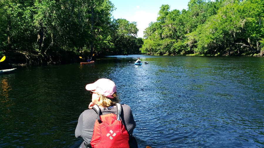 Florida's Santa Fe River